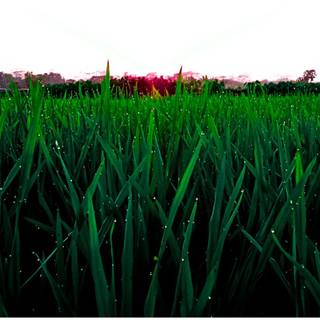 Fahim Wallpapers - Wallpaper Cave