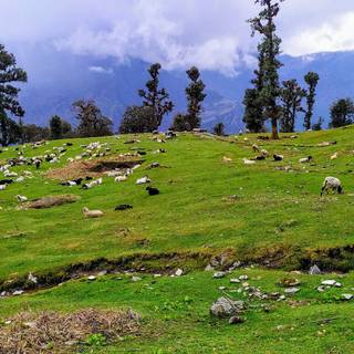 Ranjan Wallpapers - Wallpaper Cave