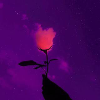 Niyah Wallpapers - Wallpaper Cave