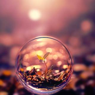 Haseeb Wallpapers - Wallpaper Cave