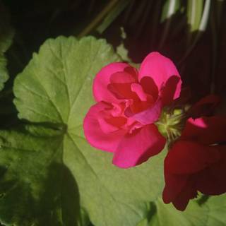 Aksil Wallpapers - Wallpaper Cave