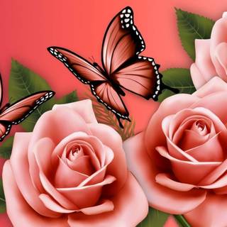 Cayden Wallpapers - Page 4 - Wallpaper Cave