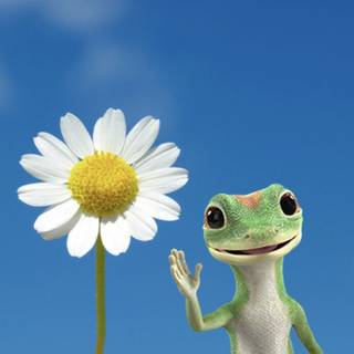 Vicky Wallpapers - Wallpaper Cave