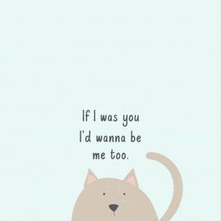 Its Meh Wallpapers - Wallpaper Cave