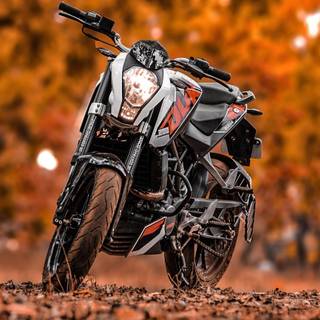 Shubham Vhankhande Wallpapers - Wallpaper Cave