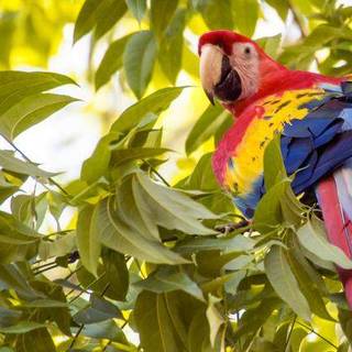 Reggie Wallpapers - Wallpaper Cave