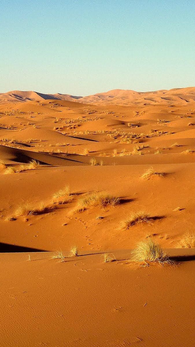 Latest uploaded Wallpapers - Wallpaper Cave