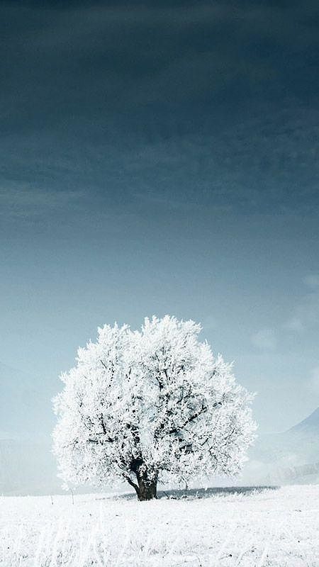 Latest uploaded Wallpapers - Wallpaper Cave