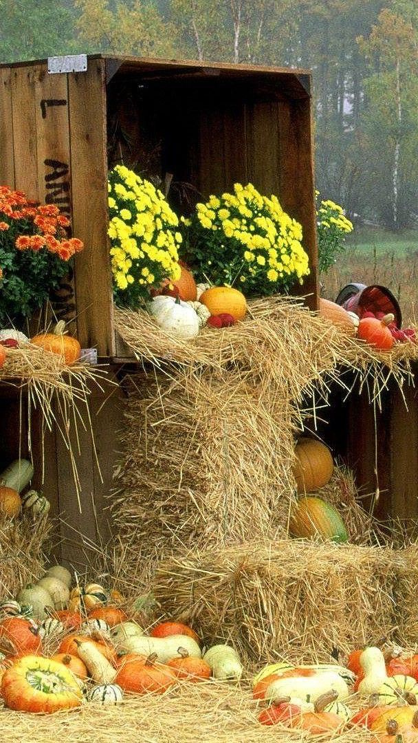 Latest uploaded Wallpapers - Wallpaper Cave