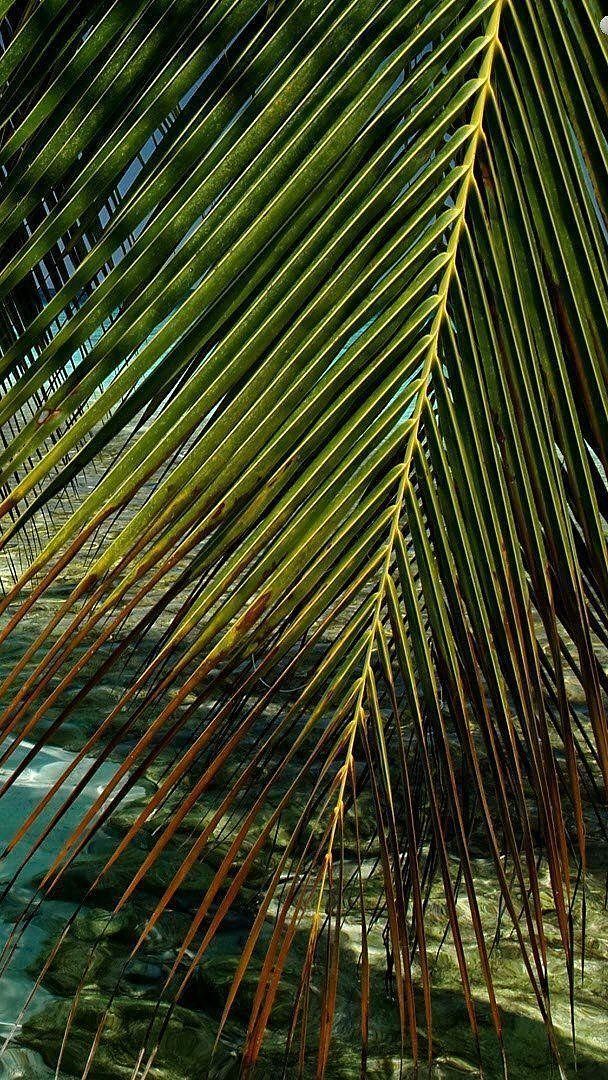 Latest uploaded Wallpapers - Wallpaper Cave