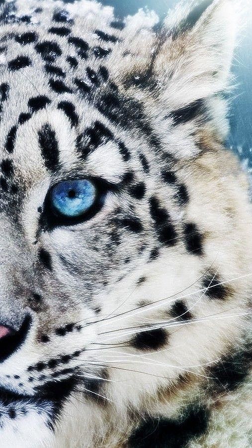 Latest uploaded Wallpapers - Wallpaper Cave