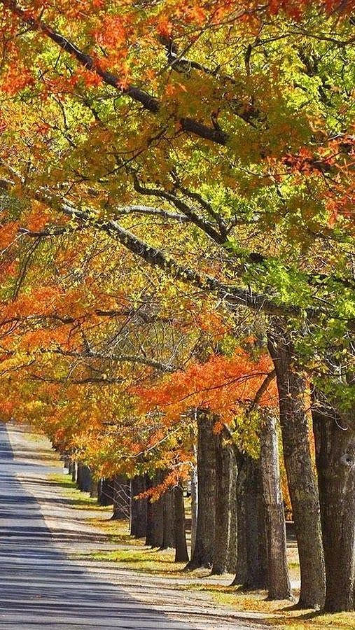 Latest uploaded Wallpapers - Wallpaper Cave