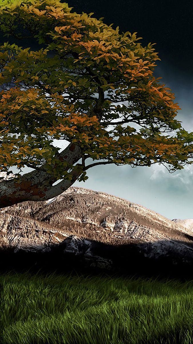 Latest uploaded Wallpapers - Wallpaper Cave