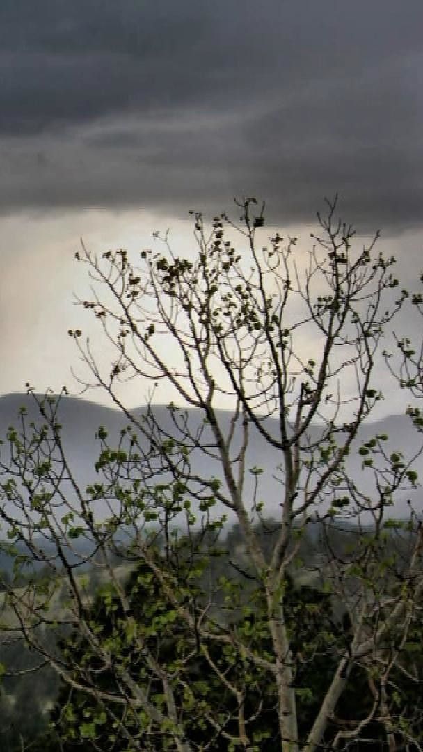 Latest uploaded Wallpapers - Wallpaper Cave