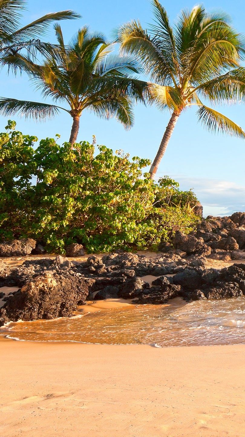 Latest uploaded Wallpapers - Wallpaper Cave