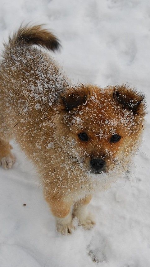 Latest uploaded Wallpapers - Wallpaper Cave