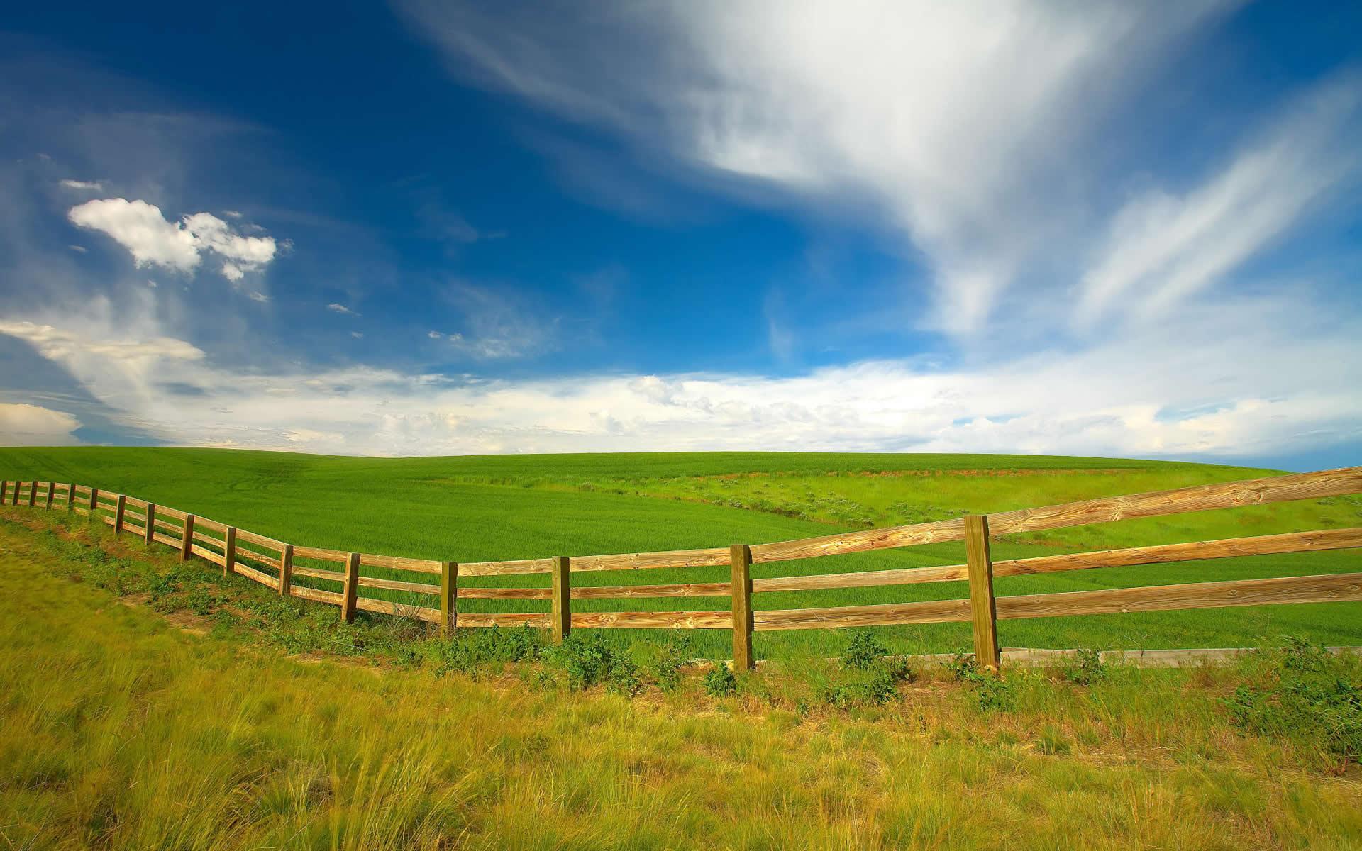 Spring Backgrounds - Wallpaper Cave