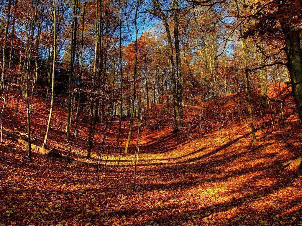 Wallpapers Fall - Wallpaper Cave