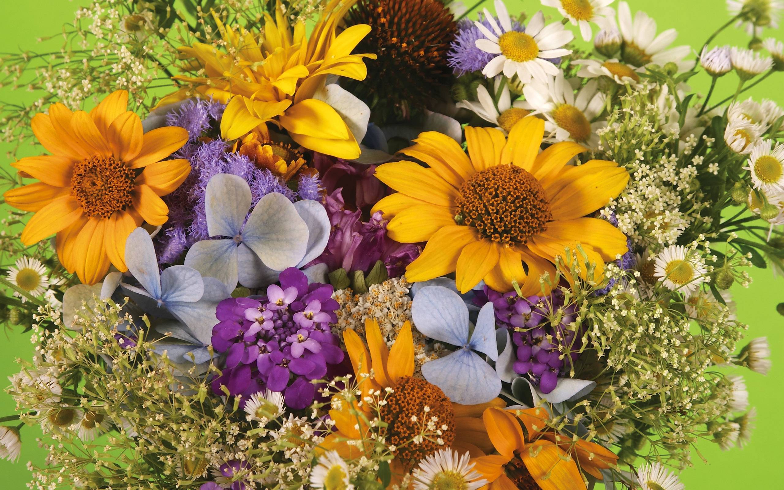 Free Spring Flowers Wallpapers - Wallpaper Cave