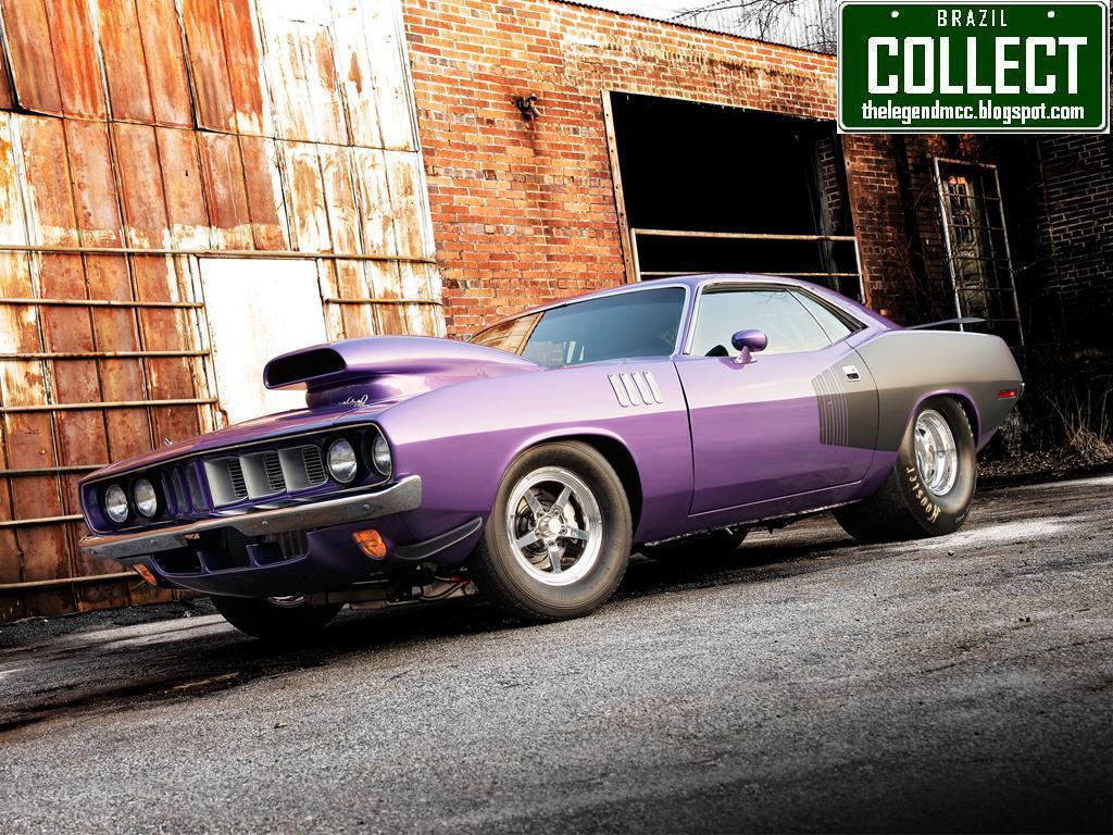 Cuda Wallpapers - Wallpaper Cave