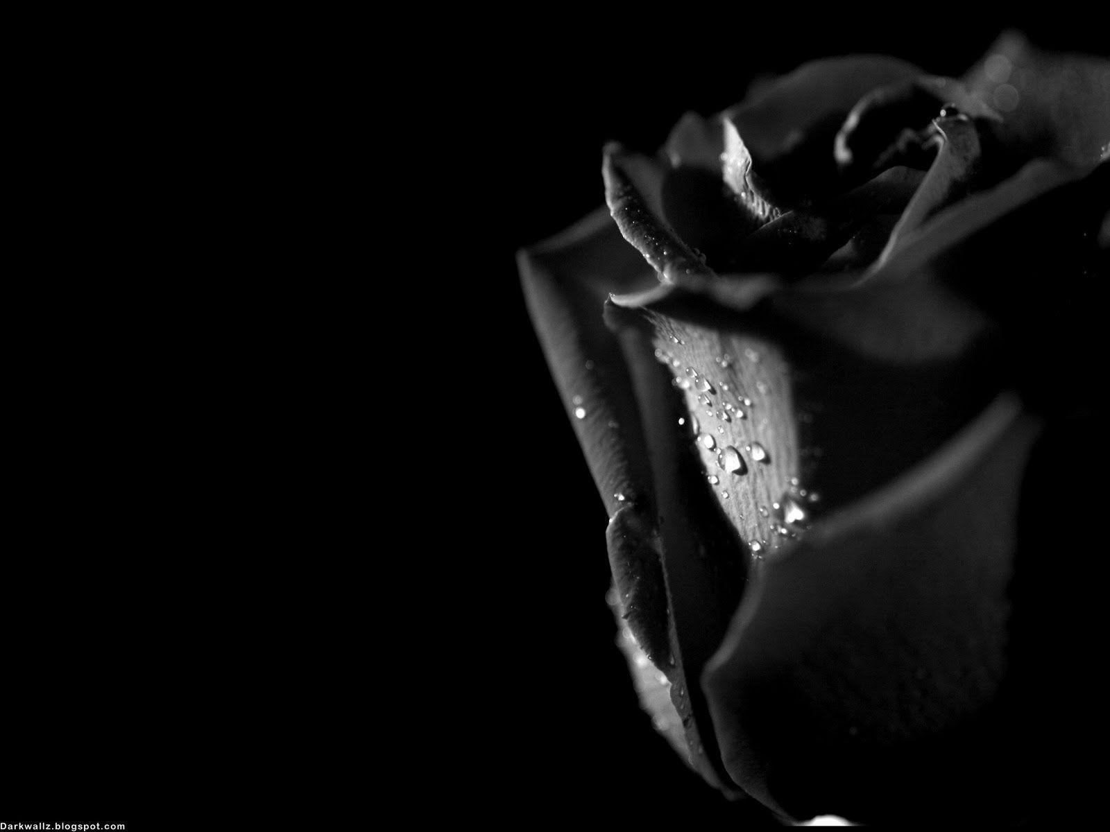 Dark Images Wallpapers - Wallpaper Cave