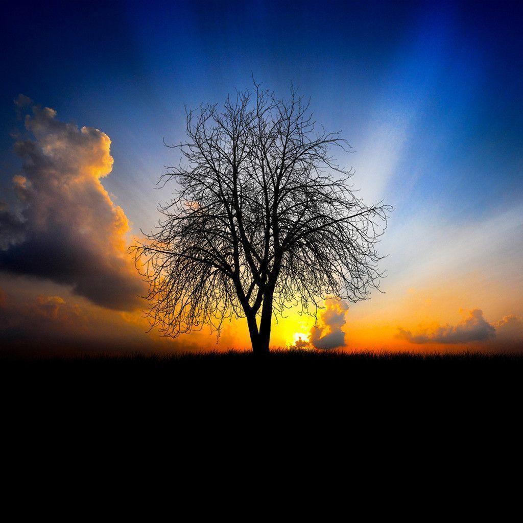 Image Of New Wallpapers - Wallpaper Cave