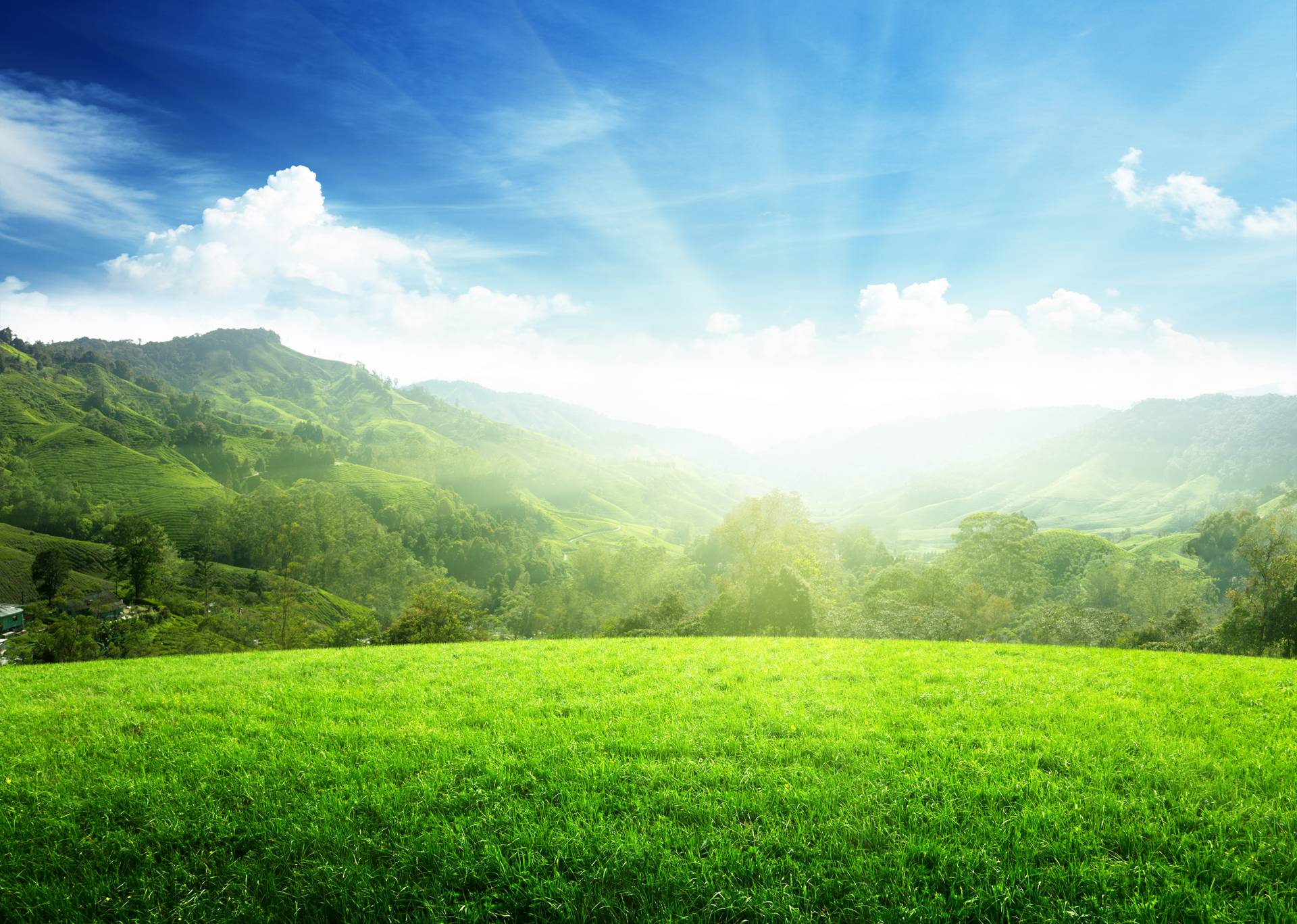 Springs Wallpapers - Wallpaper Cave