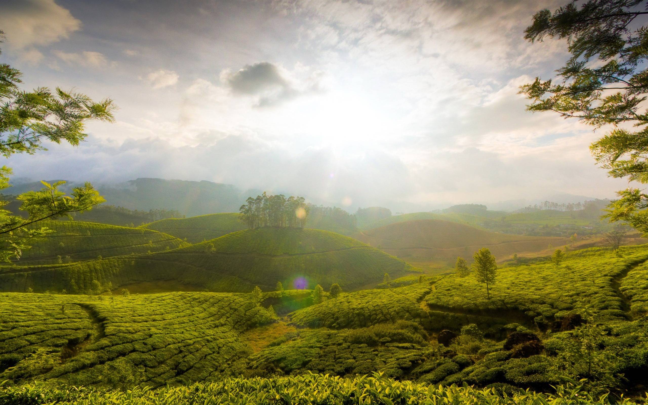 India Wallpapers Desktop Wallpaper Cave India Wallpapers Desktop Wallpaper Cave