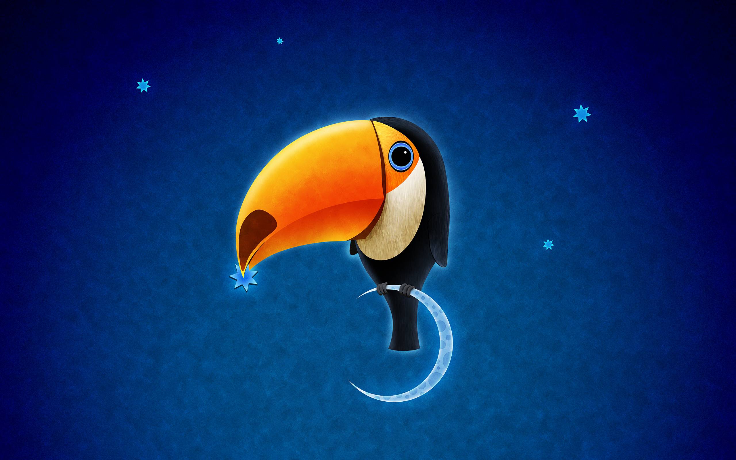Toucan Wallpapers - Wallpaper Cave