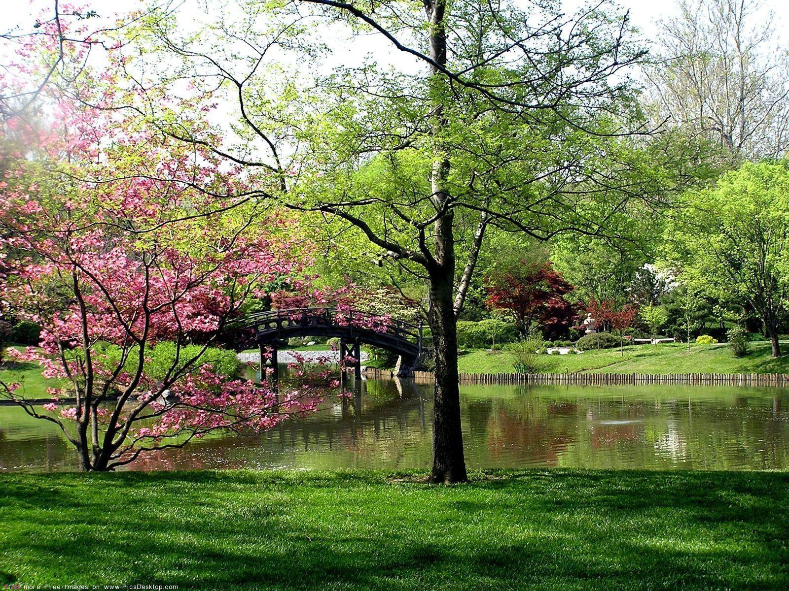 Springtime Backgrounds Pictures - Wallpaper Cave