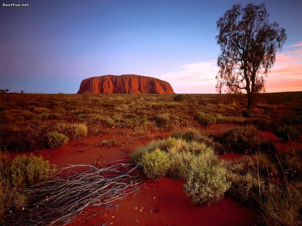 New Nature Wallpapers - Wallpaper Cave