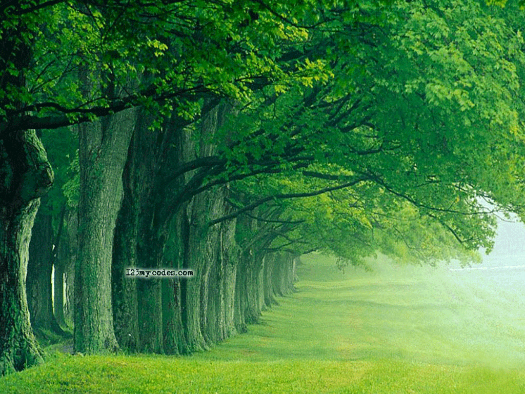 Pictures Of Nature Backgrounds - Wallpaper Cave