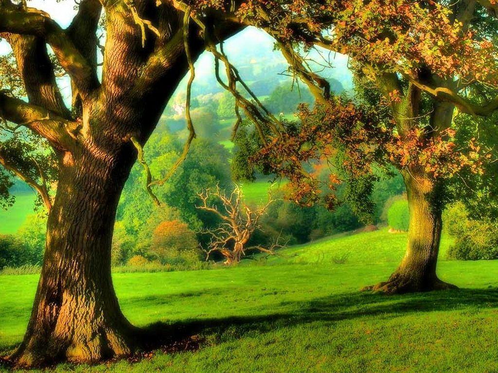 Free Landscape Backgrounds - Wallpaper Cave