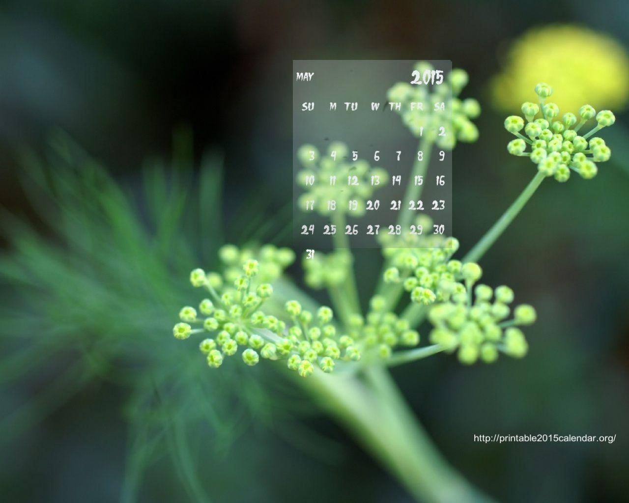 Desktop Wallpapers Calendar May 2015 - Wallpaper Cave