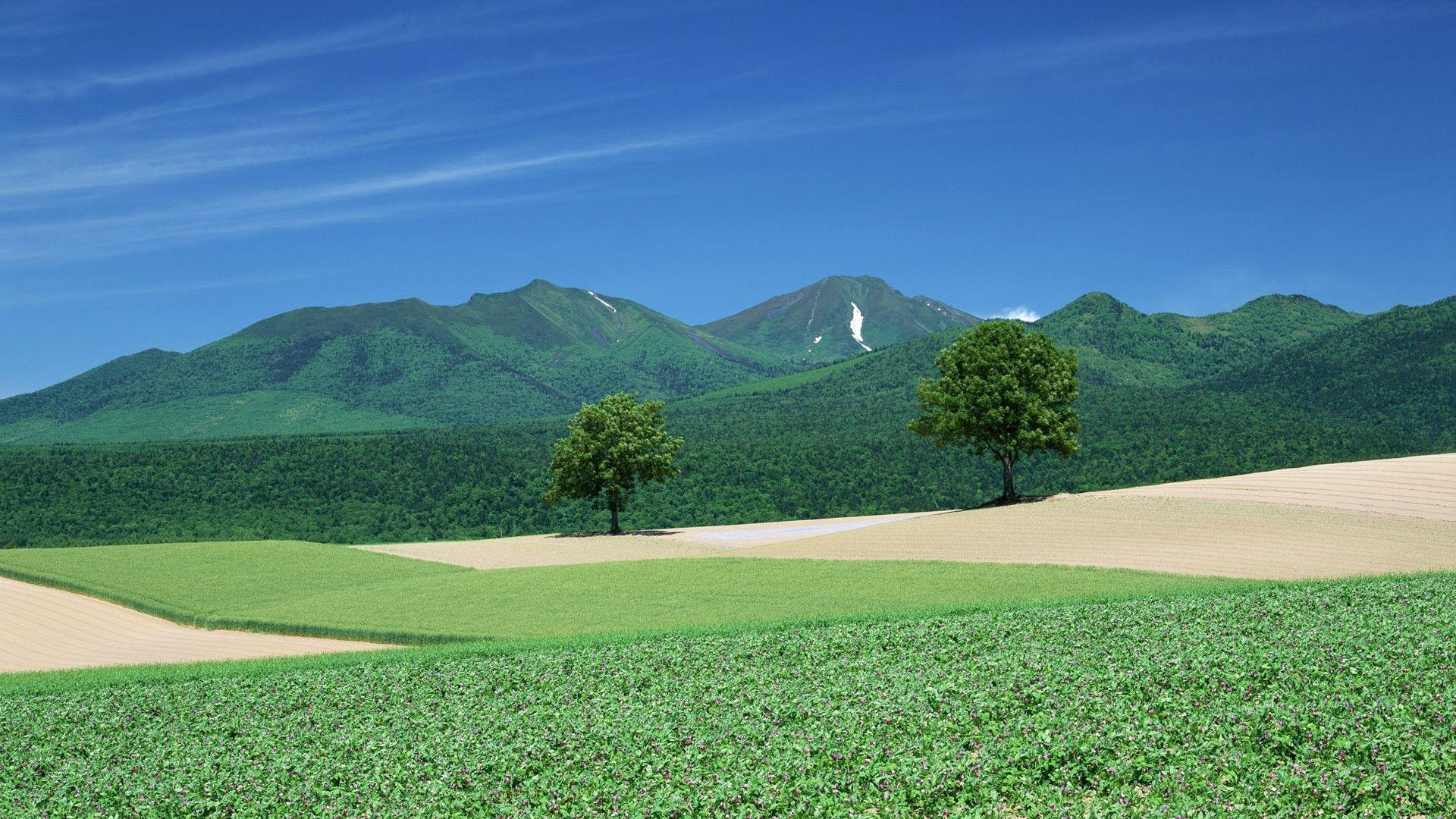 Wallpapers For Computer Screens - Wallpaper Cave