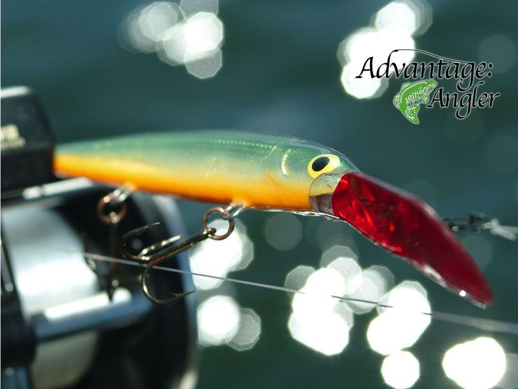 Rapala Wallpapers - Wallpaper Cave