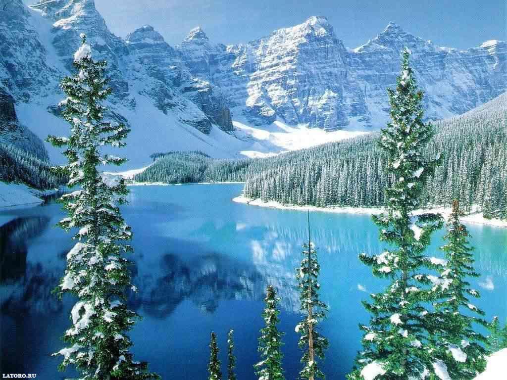 New Wallpapers Desktop - Wallpaper Cave