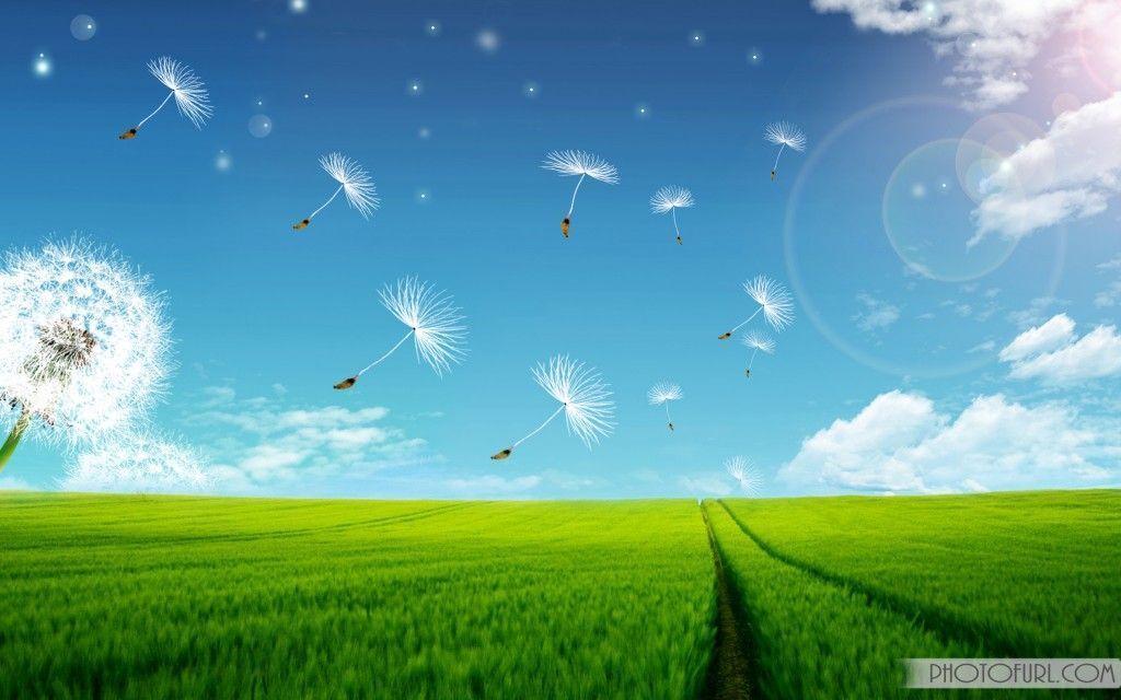 Wallpapers For Laptop Free - Wallpaper Cave