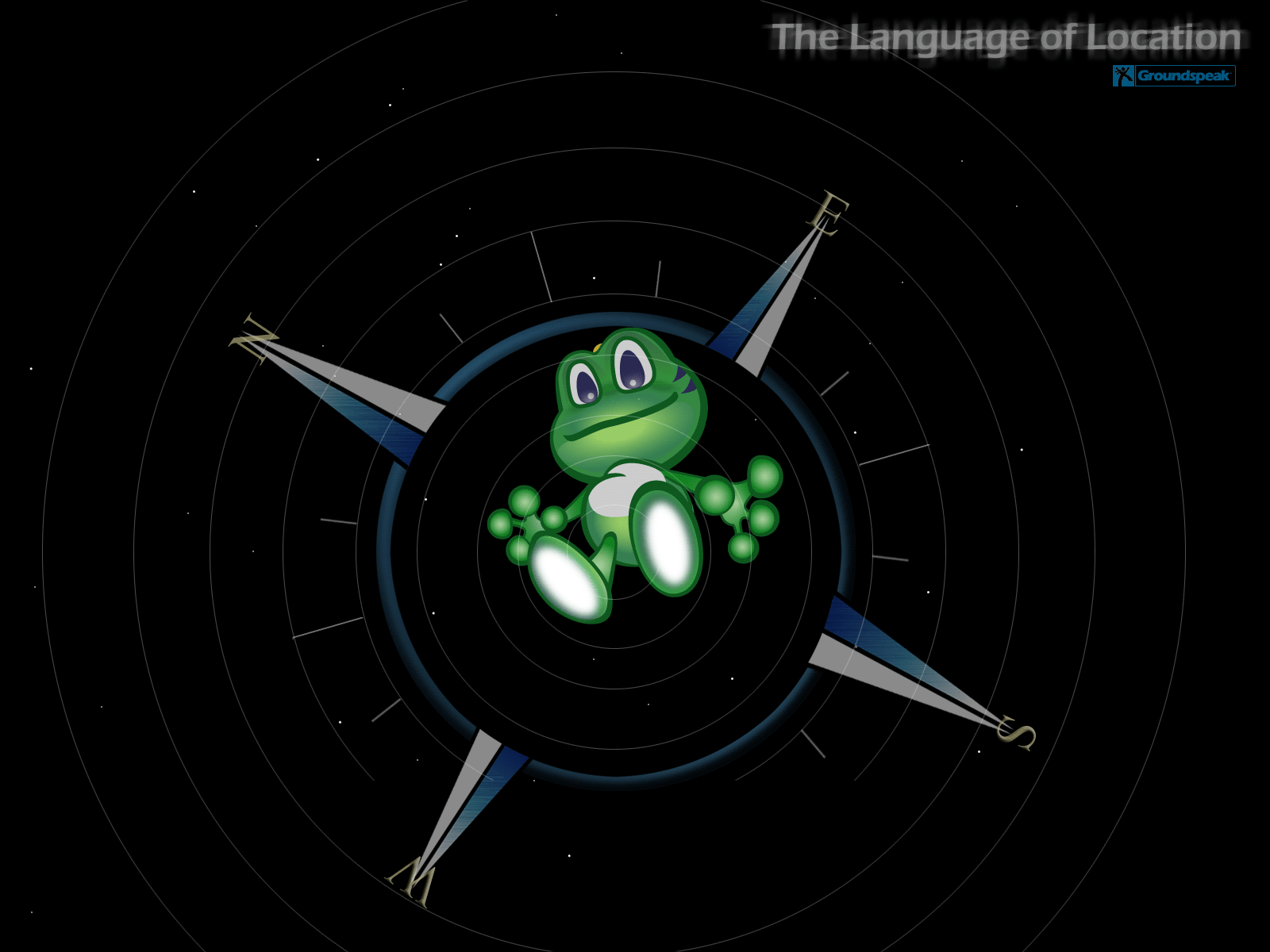 Froggy Wallpapers - Wallpaper Cave