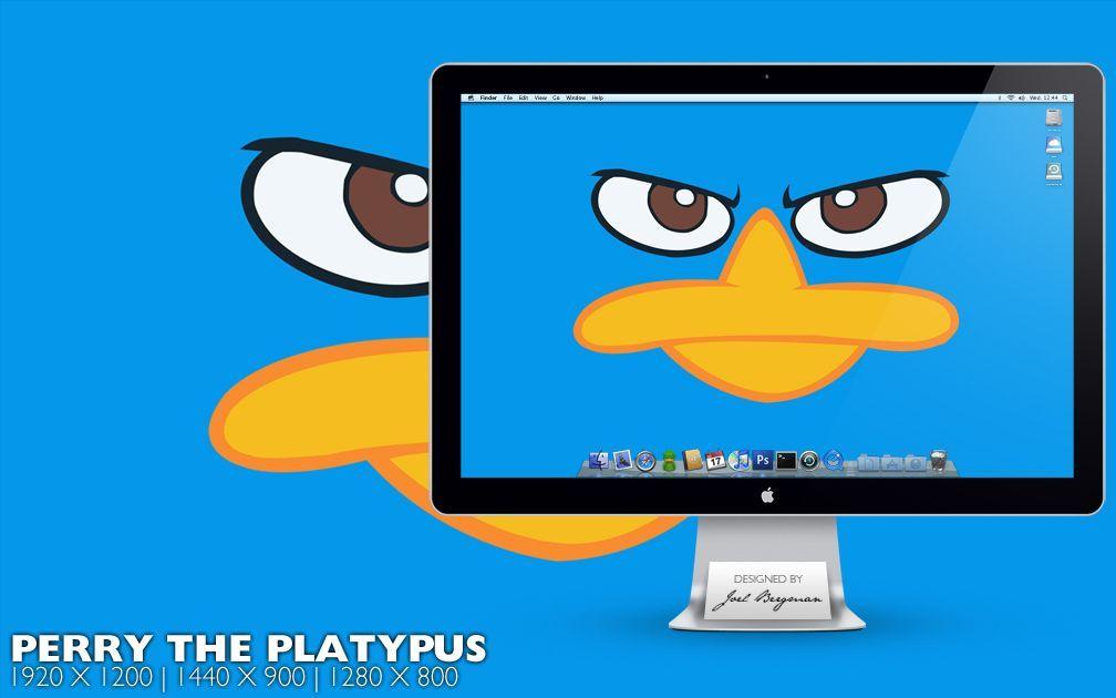 Perry The Platypus Wallpapers - Wallpaper Cave