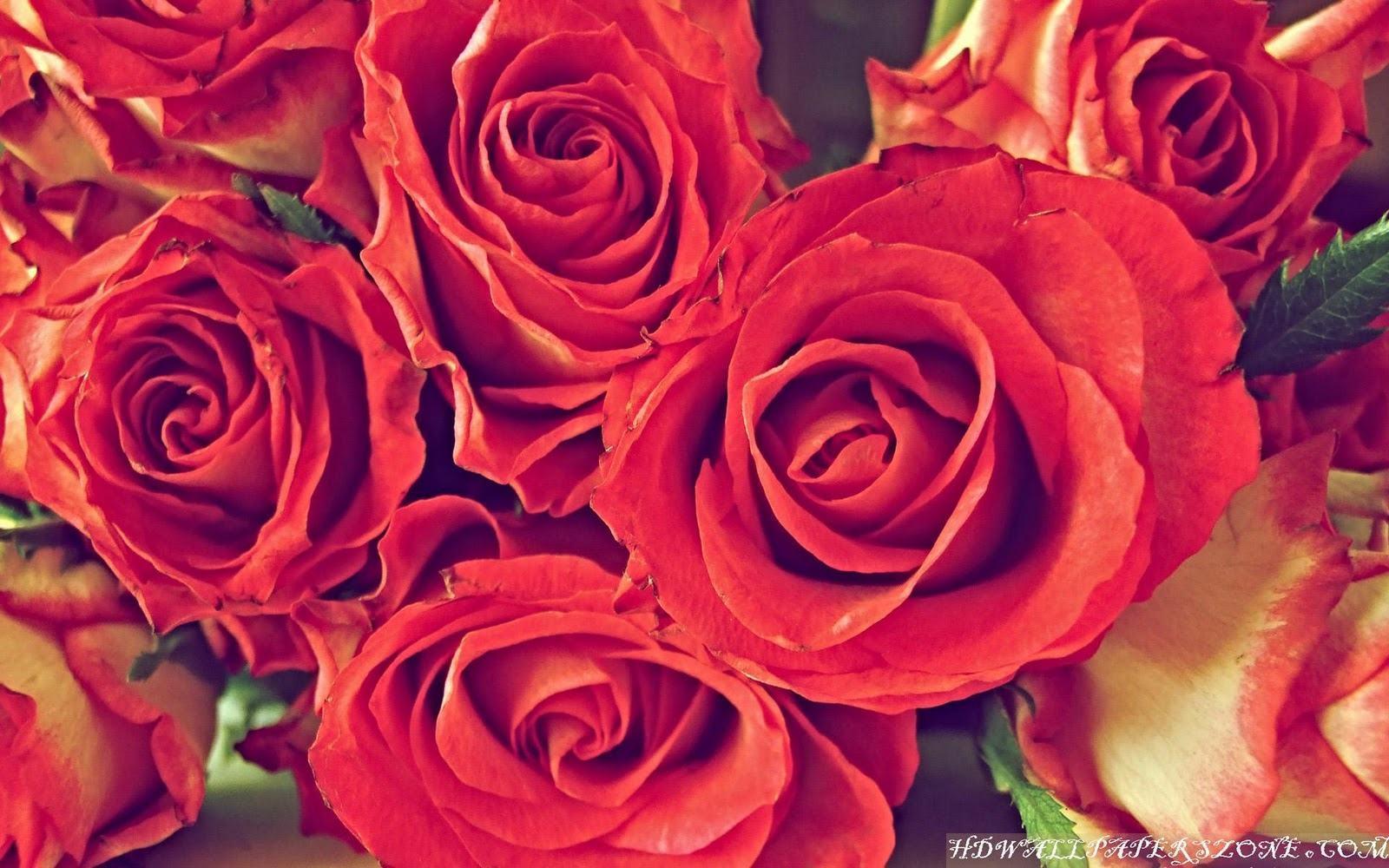 Popular Backgrounds - Wallpaper Cave