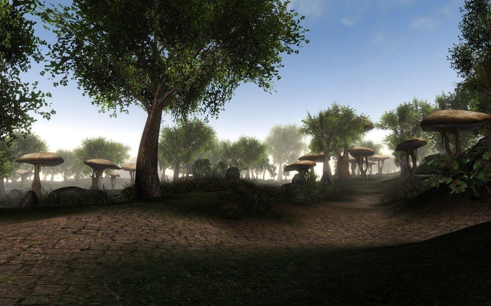 Morrowind Wallpapers - Wallpaper Cave