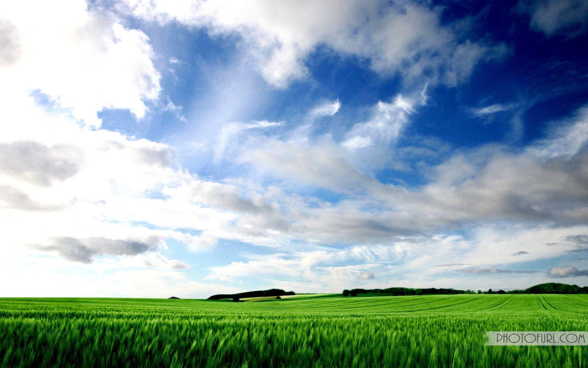 Free Wallpapers For Desktop Computers - Wallpaper Cave