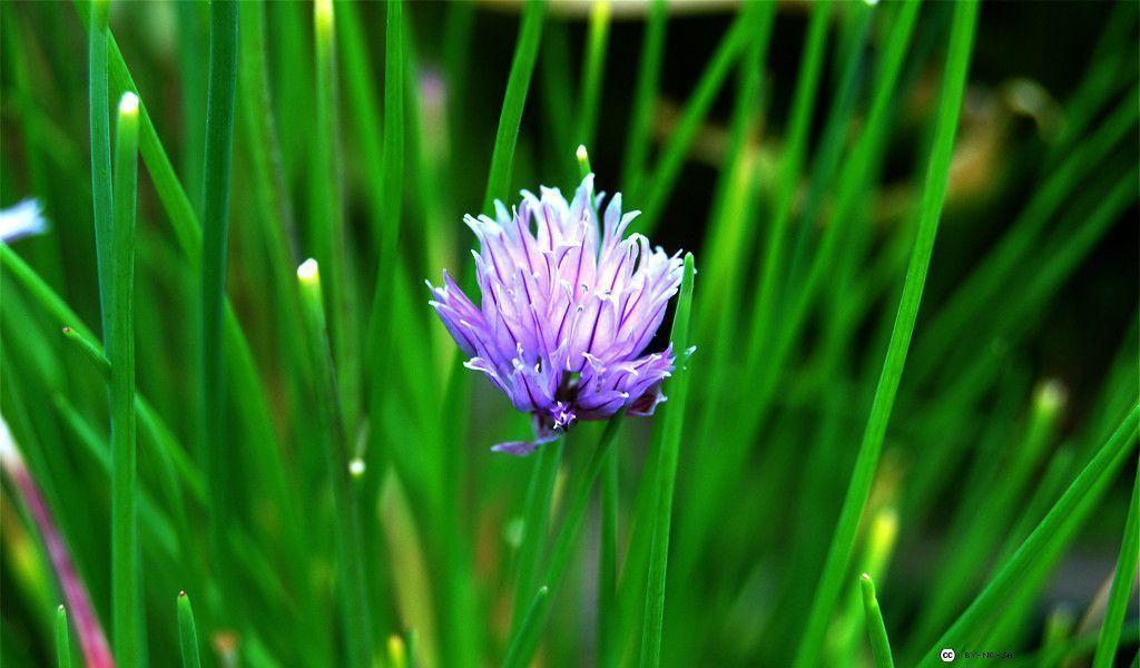 Acer Aspire One Wallpapers - Wallpaper Cave