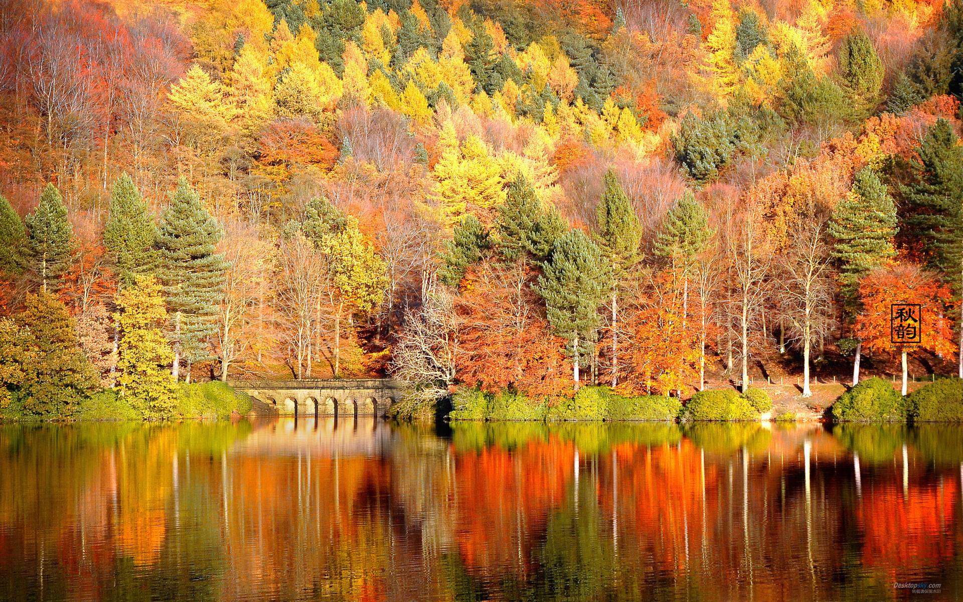 Autumn Backgrounds Wallpapers - Wallpaper Cave