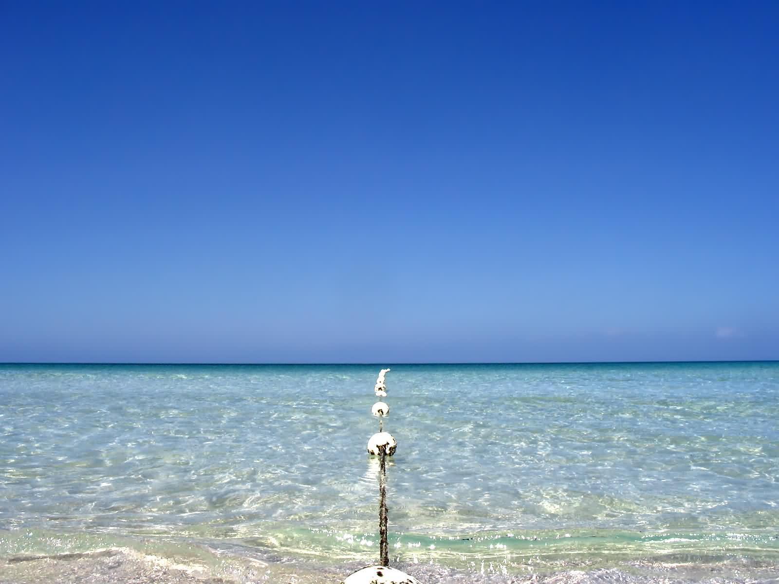 Large Resolution Wallpapers - Wallpaper Cave