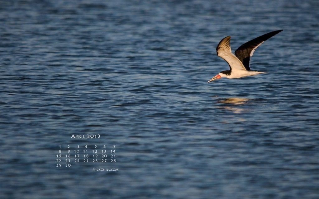 Unique Wallpapers Desktop - Wallpaper Cave