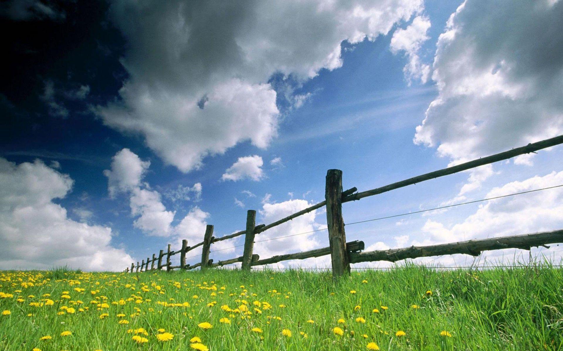 Spring Wallpaper Backgrounds - Wallpaper Cave