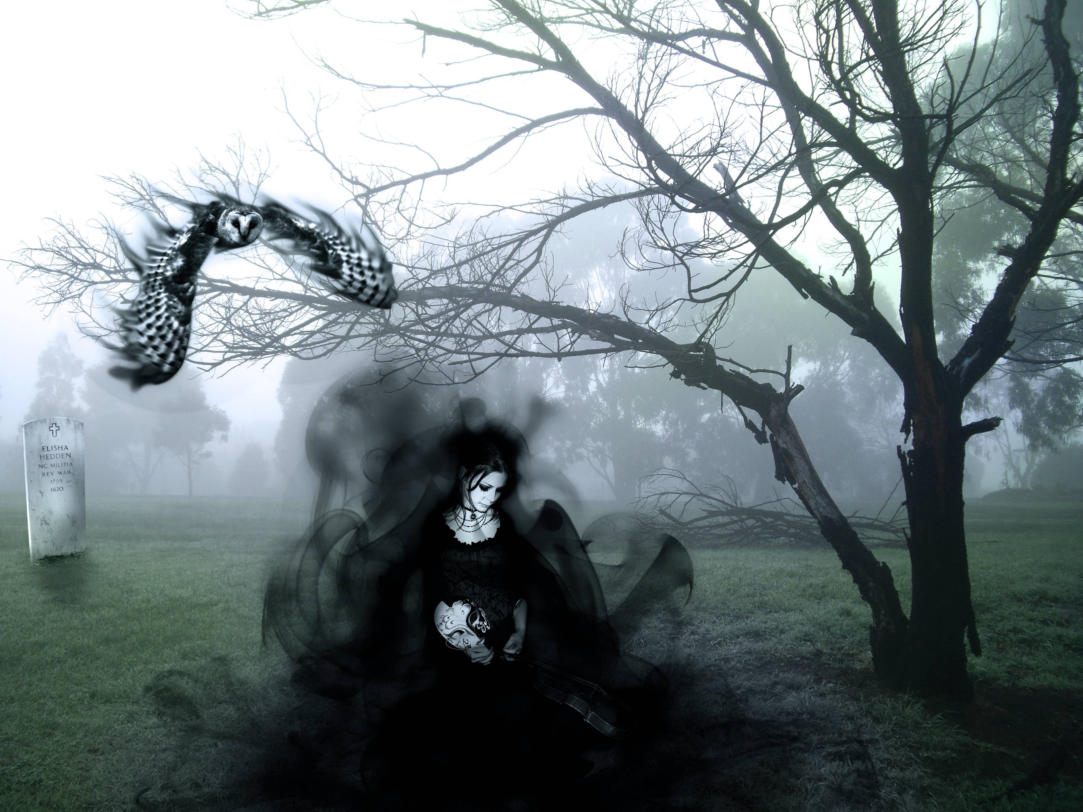 Gothic Fairies Wallpapers Wallpaper Cave