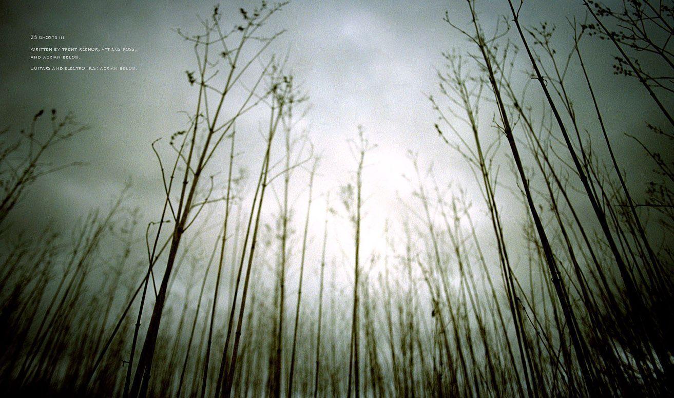 Nin Backgrounds - Wallpaper Cave